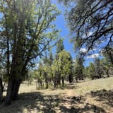 Campbell Mesa Loop, Arizona - 1,329 Reviews, Map | AllTrails