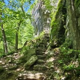Rimrock Overlook Trail, Pennsylvania - 539 Reviews, Map | AllTrails