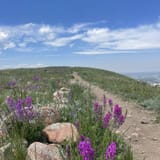 Green Mountain via Green Mountain and Hayden Trail Loop, Colorado ...