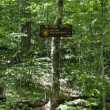 Echo Lake, New York - 480 Reviews, Map | AllTrails
