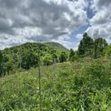 Lost Cove Trail, North Carolina - 212 Reviews, Map | AllTrails