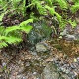 Lost Cove Trail, North Carolina - 212 Reviews, Map | AllTrails