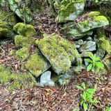 Lost Cove Trail, North Carolina - 212 Reviews, Map | AllTrails