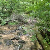 Lost Cove Trail, North Carolina - 212 Reviews, Map | AllTrails