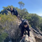 Pages Pinnacle , Queensland, Australia - 1,476 Reviews, Map | AllTrails
