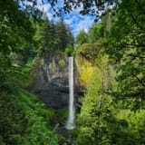 Latourell Falls Loop, Oregon - 6,706 Reviews, Map | AllTrails