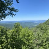 Lewis Spring Falls Trail, Virginia - 1,565 Reviews, Map | AllTrails