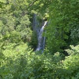 Lewis Spring Falls Trail, Virginia - 1,565 Reviews, Map | AllTrails