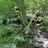 Lewis Spring Falls Trail, Virginia - 1,565 Reviews, Map | AllTrails