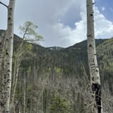 Lost Lake Trail, New Mexico - 287 Reviews, Map | AllTrails