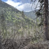 Lost Lake Trail, New Mexico - 287 Reviews, Map | AllTrails