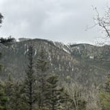 Lost Lake Trail, New Mexico - 287 Reviews, Map | AllTrails