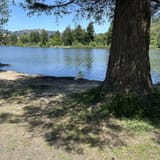 Spring Lake Loop, California - 1,624 Reviews, Map | AllTrails