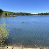 Spooner Lake Trail, Nevada - 1,869 Reviews, Map | AllTrails