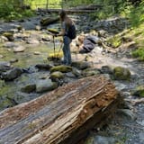Staircase Rapids Loop, Washington - 2,616 Reviews, Map | AllTrails