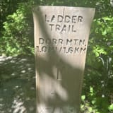 Dorr Mountain South Ridge Loop, Maine - 712 Reviews, Map | AllTrails