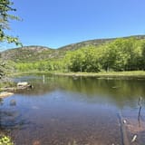 Dorr Mountain South Ridge Loop, Maine - 712 Reviews, Map | AllTrails