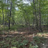 Star Trail, Virginia - 1,221 Reviews, Map | AllTrails