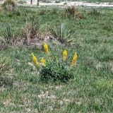 Monument Rocks Chalk Pyramids, Kansas - 113 Reviews, Map | AllTrails