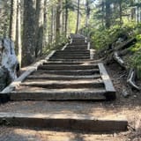 Angels Rest to Devil's Rest Loop Trail, Oregon - 1,242 Reviews, Map ...