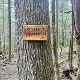 Angels Rest to Devil's Rest Loop Trail, Oregon - 1,242 Reviews, Map ...