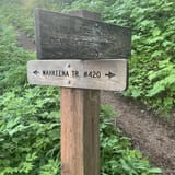 Angels Rest to Devil's Rest Loop Trail, Oregon - 1,242 Reviews, Map ...