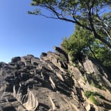 Humpback Rocks Recreation Area Trail, Virginia - 2,608 Reviews, Map ...