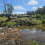 Parallel Forest Trail, Oklahoma - 408 Reviews, Map | AllTrails