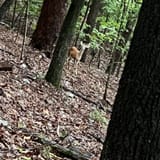 Hot Springs Sunset Trail Full Circle, Arkansas - 369 Reviews, Map ...