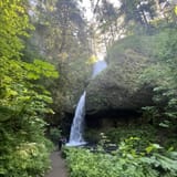 Latourell Falls Loop, Oregon - 6,706 Reviews, Map | AllTrails
