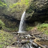 Latourell Falls Loop, Oregon - 6,706 Reviews, Map | AllTrails