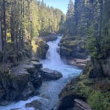 Silver Falls Loop, Washington - 2,921 Reviews, Map | AllTrails