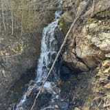 Cub Lake Loop, Colorado - 2,093 Reviews, Map | AllTrails