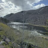 Cub Lake Loop, Colorado - 2,093 Reviews, Map | AllTrails