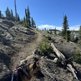 Abyss Trail to Helms Lake, Colorado - 2,666 Reviews, Map | AllTrails