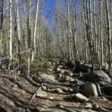 Abyss Trail to Helms Lake, Colorado - 2,666 Reviews, Map | AllTrails