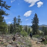 Ben Tyler Trail, Colorado - 722 Reviews, Map | AllTrails