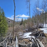 Ben Tyler Trail, Colorado - 722 Reviews, Map | AllTrails