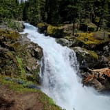 Silver Falls Loop, Washington - 2,921 Reviews, Map | AllTrails