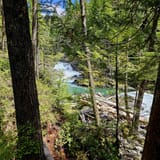 Silver Falls Loop, Washington - 2,921 Reviews, Map | AllTrails