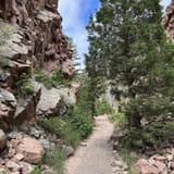 Fowler Trail, Colorado - 2,182 Reviews, Map | AllTrails