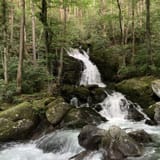 Mouse Creek Falls via Big Creek Trail, Tennessee - 2,838 Reviews, Map ...