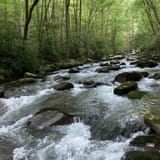 Mouse Creek Falls via Big Creek Trail, Tennessee - 2,838 Reviews, Map ...