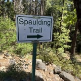 Spaulding Lake Trail, California - 1,429 Reviews, Map | AllTrails