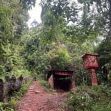 Bukit Hash, Kedah, Malaysia - 254 Reviews, Map | AllTrails