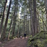 Wonderland Trail: Longmire to Cougar Rock Campground, Washington - 386 ...