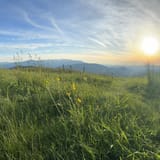 Max Patch Loop, North Carolina - 2,204 Reviews, Map | AllTrails