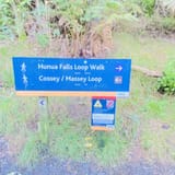 Cossey Massey Loop Track, Auckland, New Zealand - 889 Reviews, Map ...