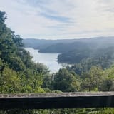 Cossey Massey Loop Track, Auckland, New Zealand - 889 Reviews, Map ...