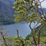 Wesley Ridge, British Columbia, Canada - 776 Reviews, Map | AllTrails